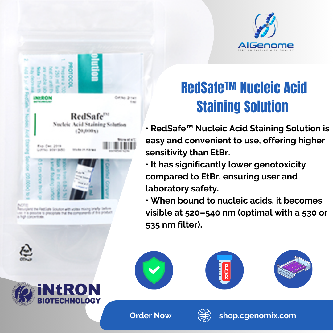 RedSafe™ Nucleic Acid Staining Solution: A Safer, Smarter Alternative ...